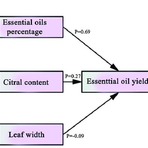 Path Diagram Showing Interrelationship Among The Dependent Variable