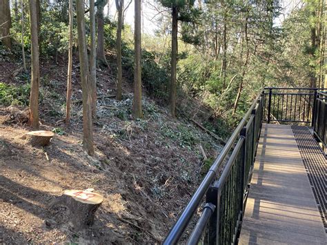 IMG 7438あつぎこどもの森公園