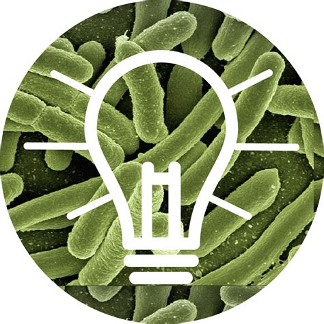 Microbial Fuel Cells Let S Talk Science