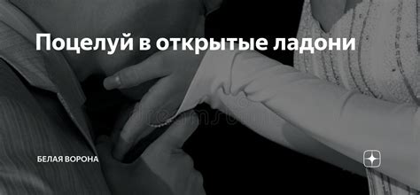 Поцелуй в открытые ладони Белая ворона Дзен