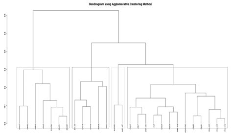 Dendrogram Diversity Relationship Among 27 Genotypes Of Amaranth In