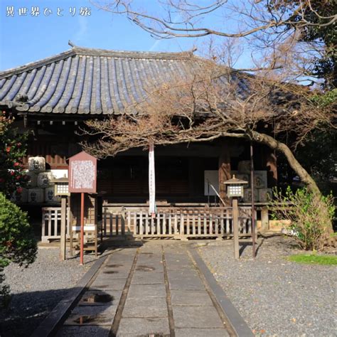 千本釈迦堂大報恩寺のおかめ桜を訪ねて京都上京区異世界ひとり旅