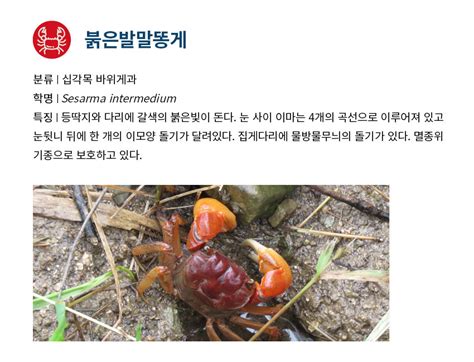 대형저서동물 봉암갯벌생태학습장