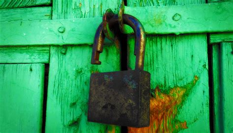 Reality Check Crime Rates Are Actually Declining Blue Crab Collective