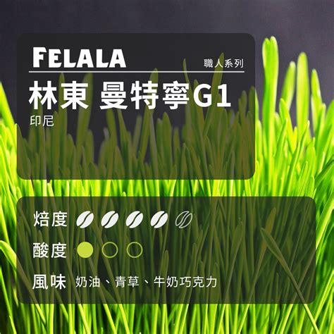 林東 曼特寧g1 中深烘焙 咖啡豆 費拉拉 Felala