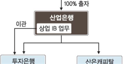 국책은행 금융빅뱅 선봉 서나