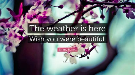 Jimmy Buffett Quote “the Weather Is Here Wish You Were Beautiful ”