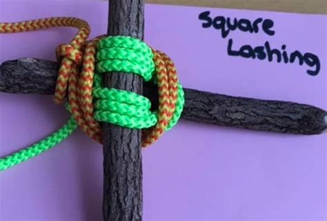 PSFSP 1 4 Training Learners In The Tying And Use Of A Range Of Knots At A Forest Babe A