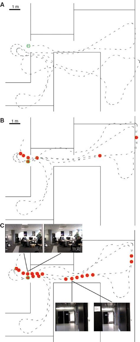 Gostai Sequence Example Of Topometric Mapping Results A Raw