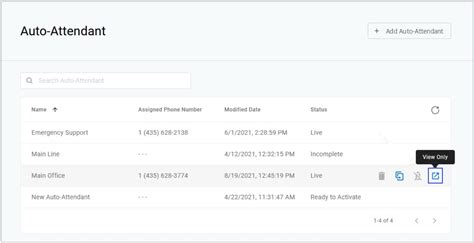 Using View Only Mode With An Auto Attendant