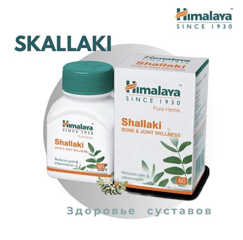 Экстракт растений Шаллаки (Shallaki) Himalaya/ 60 талеток - купить с ...