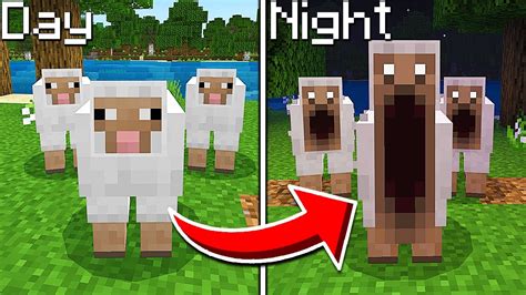 Minecraft Sheep Become Scary At Night Youtube