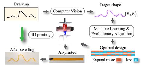 Machine Learning Evolutionary Algorithm Enabled Design For 4d Printed