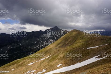 Tatra 산 폴란드에 있는 Swinica 산의 보기 0명에 대한 스톡 사진 및 기타 이미지 0명 경관 계곡 Istock