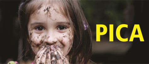 What Is Pica Dpmi
