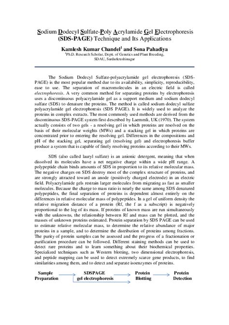 Pdf Sodium Dodecyl Sulfate Polyacrylamide Gel Electrophoresis Sds Page