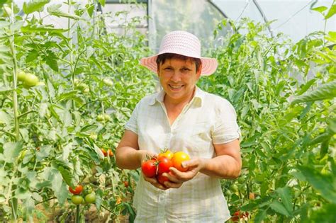 Agricultora Madura Exitosa Que Muestra La Cosecha De Tomates En El