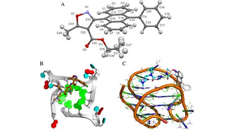 A Single Crystal X Ray Diffractometry Of 4c B Sybyl X Docking Of