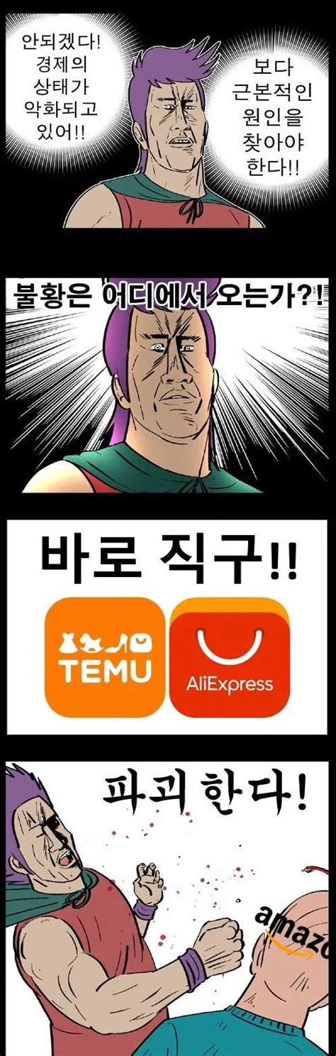 해외직구 금지 설명 요약짤 포텐 터짐 최신순 에펨코리아