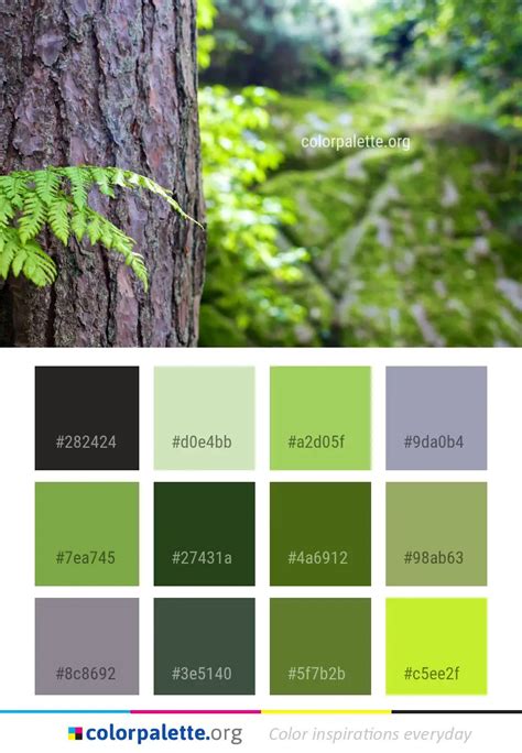 Tree Vegetation Ecosystem Color Palette