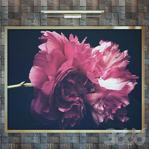 Pin On модели с 3ддд