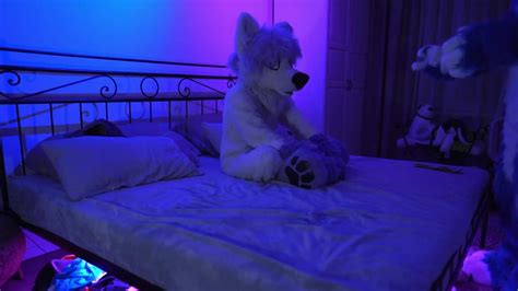 Fursuit Sex Video 37