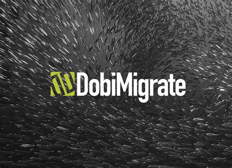 Datadobi Launches Pre Migration Assessment Service Datadobi