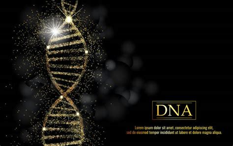 Structure Of Adenine Illustrations Royalty Free Vector Graphics And Clip