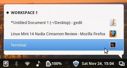 Linux Mint Nadia Cinnamon Review