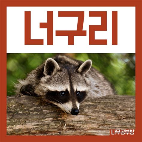 7 너구리 네이버 블로그