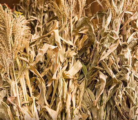 Published At Arabian Journal For Science And Engineering Production Of Biochar By Slow And