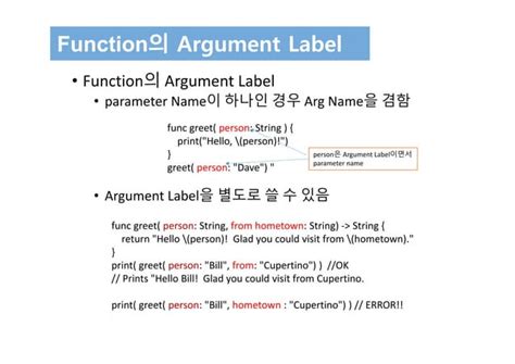 Swift 3 Programming For IOS Function PPT
