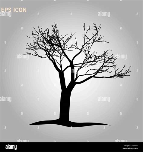 Architectonics Of The Crown Of Norway Maple The Structure Of The Tree