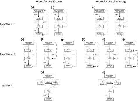 Results From Structural Equation Modelling To Test The Food Resource Download Scientific