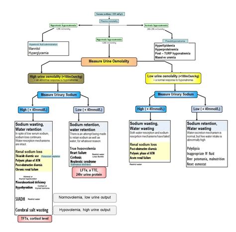 Hyponatremia Algorithm Peripheral Brain