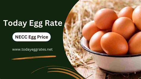 Meerut Egg Rate Today Necc Egg Rate In Meerut Todayeggrates