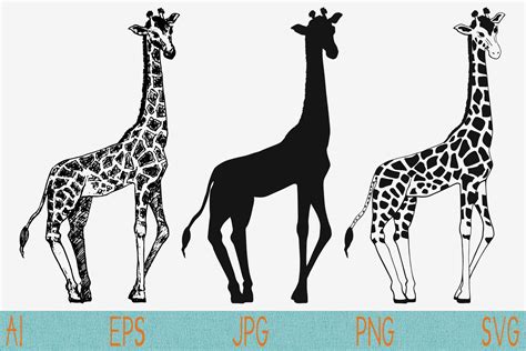 Giraffe Set Vector Svg Png Jpeg Graphic Objects ~ Creative Market