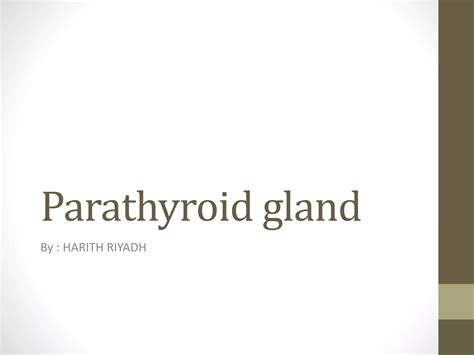 Parathyroid Glandendocrine System Anatomy Ppt