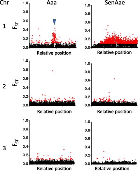 Inter Sex Fst Values Vary Among Aaegypti Populations Relative
