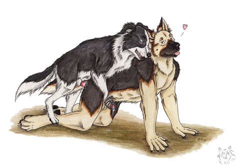 Rule 34 2019 All Fours Anal Anal Sex Anthro Anthro On Feral Anthro