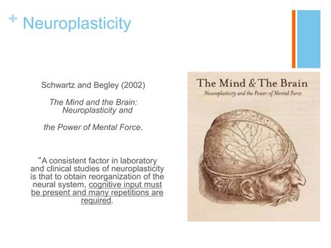 Visual Attention And Processing With Visual Only Im Pptx Physical Therapy Wellness