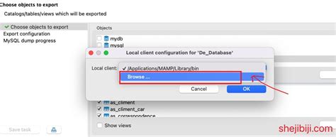 Native client is not specified for connection错误解决DBeaver导出报错问题 设计笔记