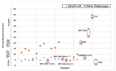Scatter Plot Of Per Cent Diseased Leaf Area Of The Genotypes Against