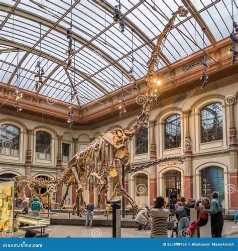 A Skeleton Of Tyrannosaurus At Natural History Museum Berlin Germany