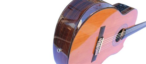 Cp 5 Series Professional Fretless Electric Classical Guitar