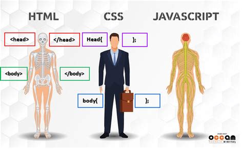 Manara Io ما الفرق بين Html Css Javascript Html تعني لغة ترميز