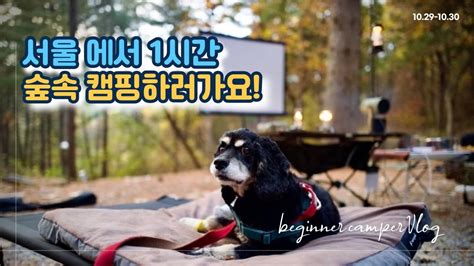 강아지동반 캠핑장 서울근교 포천 유식물원 잣나무 숲속 걈8 Youtube