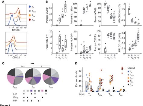 Figure 2 From Superior T Memory Stem Cell Persistence Supports Long