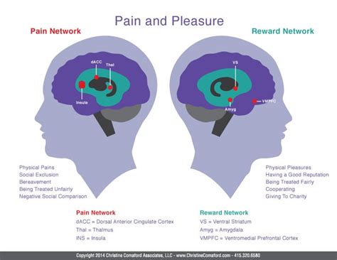 Wire Your Brain For Gratitude - SmartTribes Institute