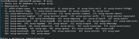 Xorg Linux